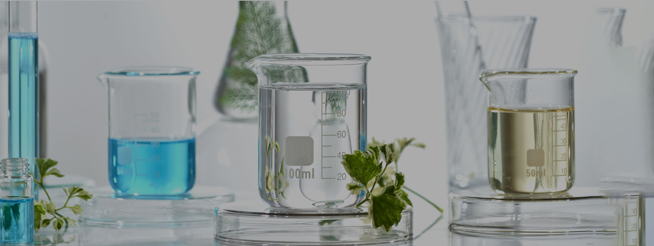 Our Formulas - Europelab